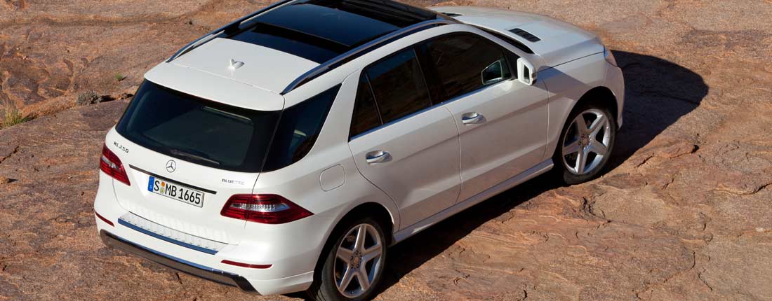 Compra Mercedes-Benz ML 250 su AutoScout24.it